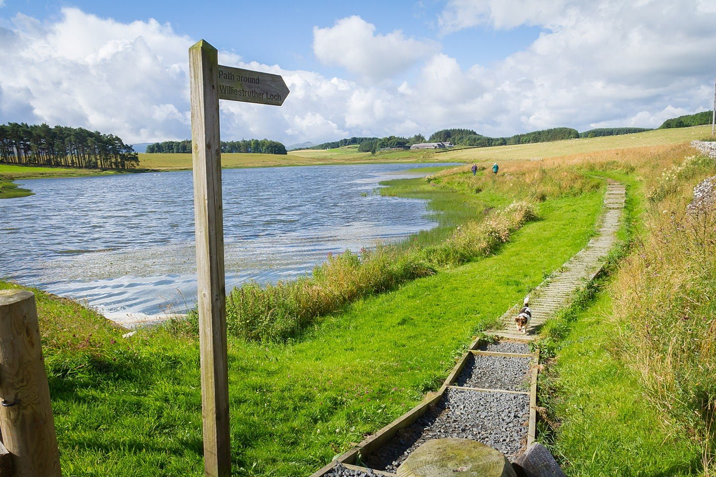 Williestruther Loch – Hawick Community Council
